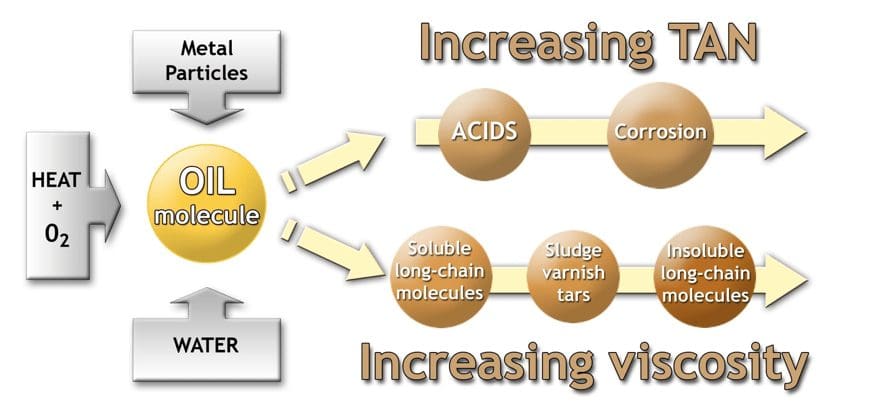 Varnish - Triple R Europe